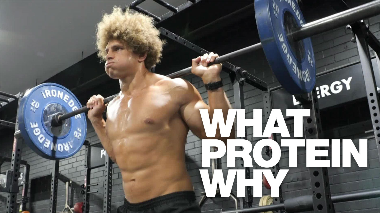 Choosing the Right Protein Powder: A Guide to Your Fitness Goals – BSc ...
